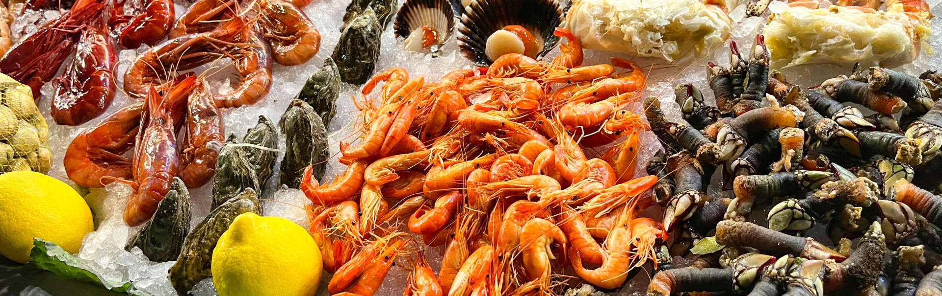 Explore Diversification Potential with ECI